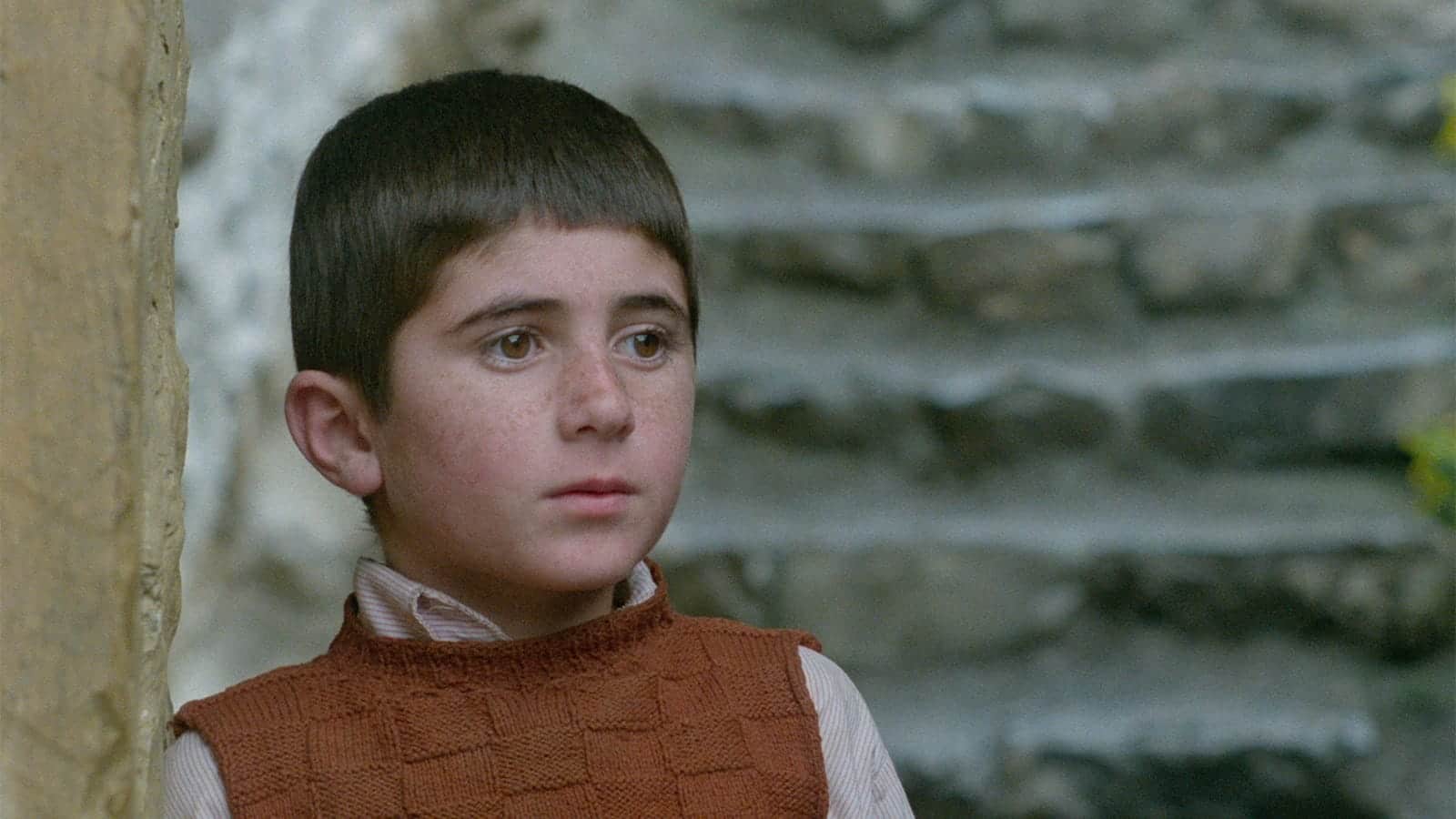 Criterion Corner: "An Angel At My Table," "The Koker Trilogy," '50s Ozu ...